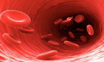 Mengenal Basofil, Sel Darah Putih yang Bertugas Lawan Peradangan ...