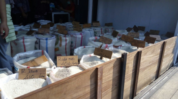 Harga Beras Indonesia Paling Mahal di Asean, Ini Buktinya - News+ on RCTI+