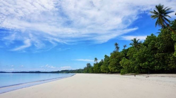 Lirik dan Makna Lagu Rasa Sayange dari Maluku - News+ on RCTI+