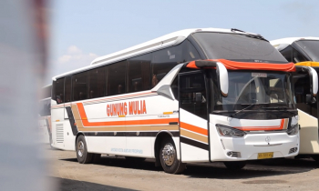 Sejarah PO Gunung Mulia, Bus Legendaris Wonogiri yang Bertahan 4 Dekade ...