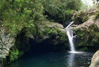 5 Destinasi Wisata di Banyumas Paling Populer, dari Telaga Sunyi hingga ...