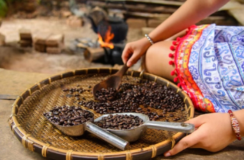5 Kopi Termahal di Dunia, Salah Satunya Kopi Luwak dari Indonesia ...